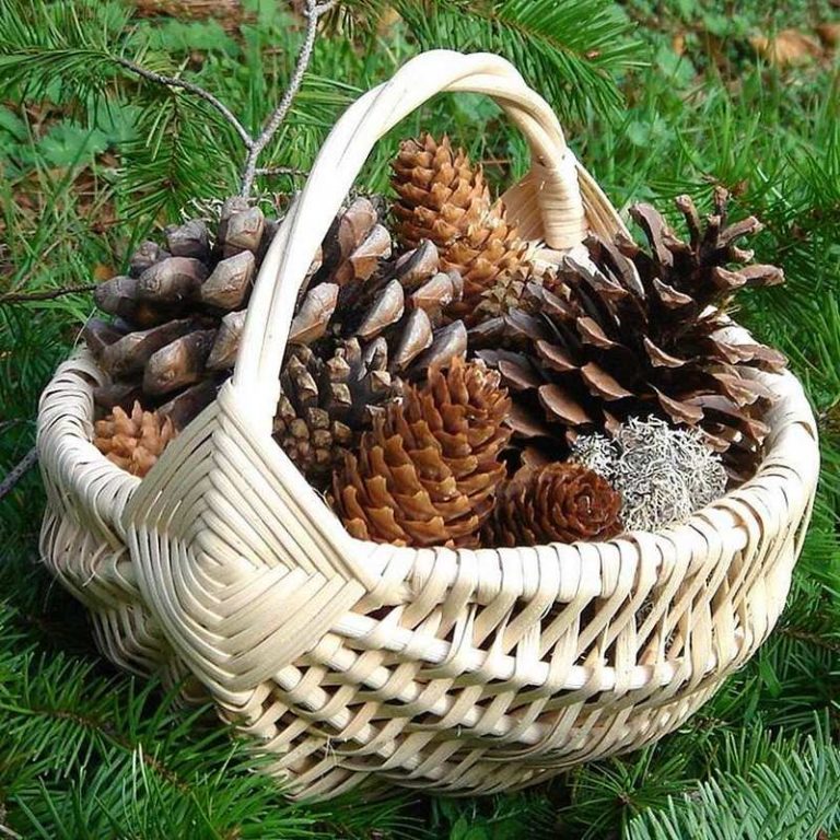 Kit Panier – Vannerie Osier Rotin